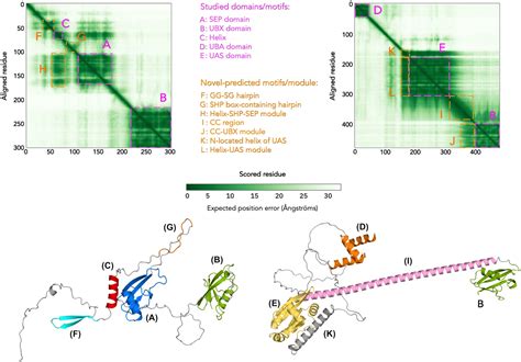 Deep Learning Methods For Protein Structure Prediction Qin 2024 Medcomm Future Medicine