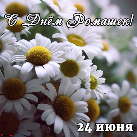 День ромашек 24 июня картинки
