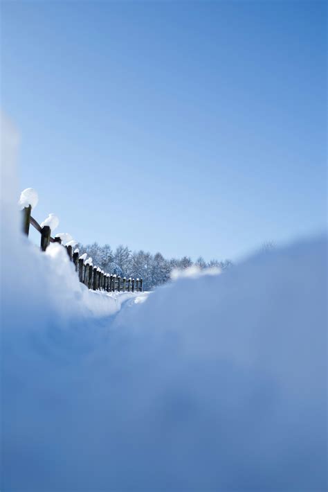 雪に覆われた森の中を走る列車の写真 Unsplashの青いの無料画像