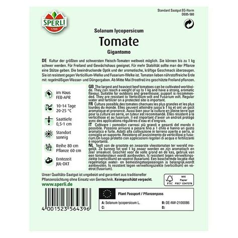Sperli Gemüsesamen Tomate Gigantomo Solanum Lycopersicum Erntezeit