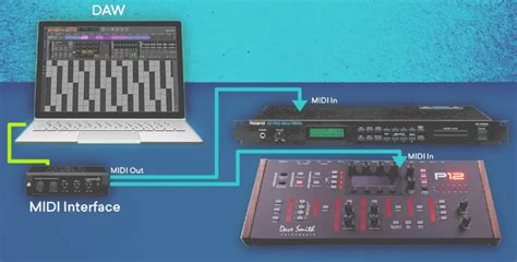 understanding midi in and midi out on midi devices hollyland