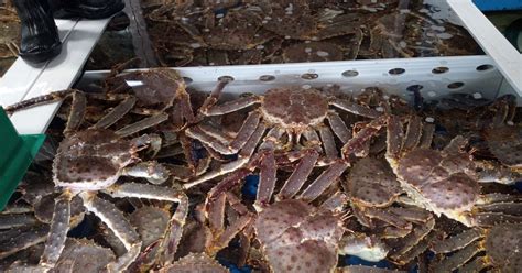 동해안 최대 규모 어시장 주문진수산시장