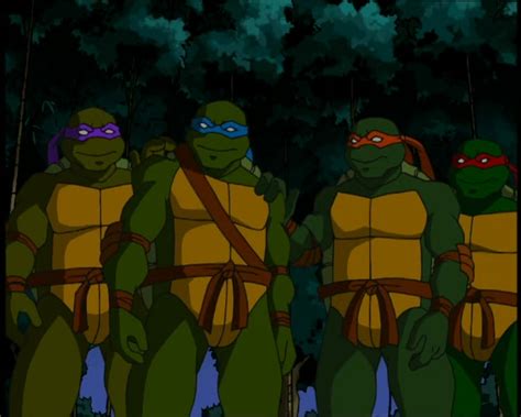 Teenage Mutant Ninja Turtles 2003 Season 2 Image Fancaps
