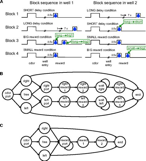 Figure 5 From Orbitofrontal Cortex As A Cognitive Map Of Task Space Semantic Scholar