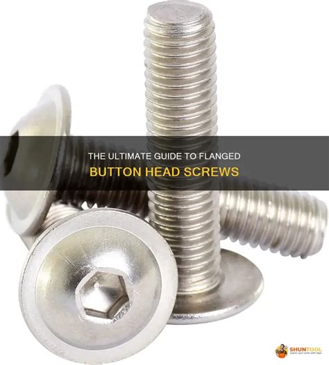The Ultimate Guide To Flanged Button Head Screws ShunTool