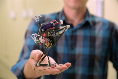 Jumping Robots Mimic Adorable Big Eyed Primates Live Science