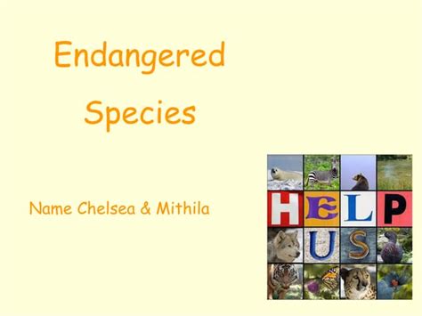 Endangered Species Ppt