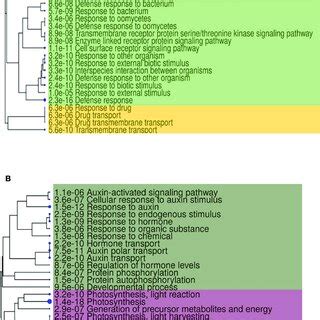 A Hierarchical Clustering Tree Summarizing The Correlation Among The Download Scientific