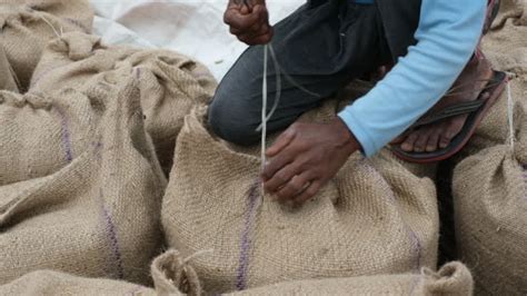 895 Grain Trading Stock Videos Footage And 4k Video Clips Getty Images