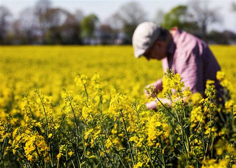 Nos Engagements Carthage Grains
