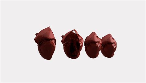 💜 Human Heart Sections Segmented 3d Models・ 3d File For 3d Printing・cults