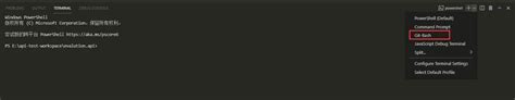 How To Configure A Git Bash Terminal On Vscode Programmer Sought