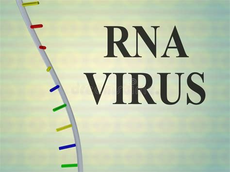 Rna Virus Genetic Concept Stock Illustration Illustration Of Cell Microorganism 111538821