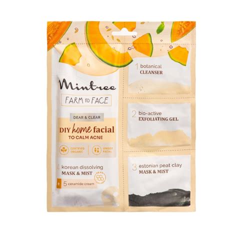Buy Calming Diy Home Facial Muskmelon Online Mintree