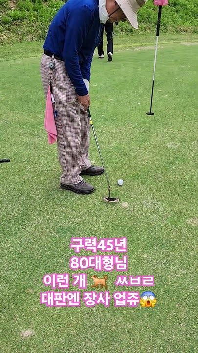 개 🐕 ㅆㅂㄹ☆대판 짠밥45년형님 골프레슨 아이언레슨 필드레슨 골프 골프존 퍼터 퍼팅 퍼터레슨 퍼팅레슨 비거리레슨 드로우샷