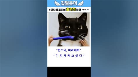 6살 짜리 조카의 충격적인 발언 ㅋㅋㅋㅋㅋㅋㅋ Youtube