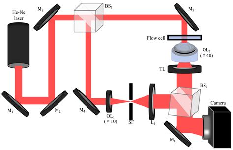 Automated Quantification And Statistical Characterization Of 3d