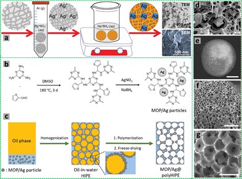 A Schematics Of The Ag Nps‐decorated Emulsion‐templated Hierarchically Download Scientific