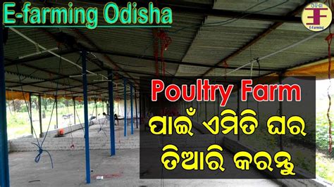 Poultry Farming In Odisha Part 2 Preparation Of House For Poultry