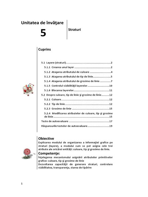 Ui5 Straturi Layere Pdf