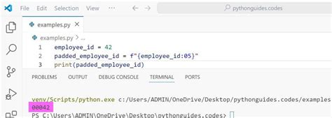 How To Pad Numbers With Leading Zeros In Python