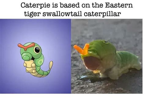 Caterpie Meme By Mousewilliams Memedroid