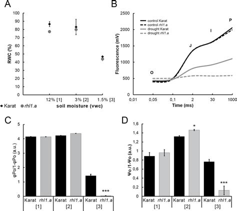 Physiological Analyses Of Cv ‘karat And The Rhl1a Mutant During The