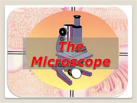1 Microscope Potato Maize Pptx
