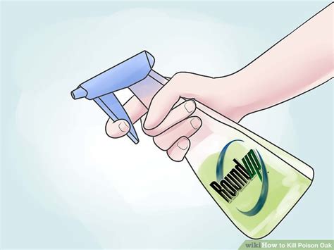 3 Ways To Kill Poison Oak Wikihow