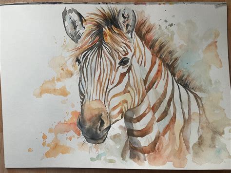 Zebra In Aquarelle By Sonnemannart On Deviantart