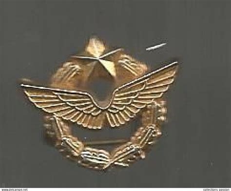 Armée de l air insigne militaria brevet de pilote doré à l OR FIN scans