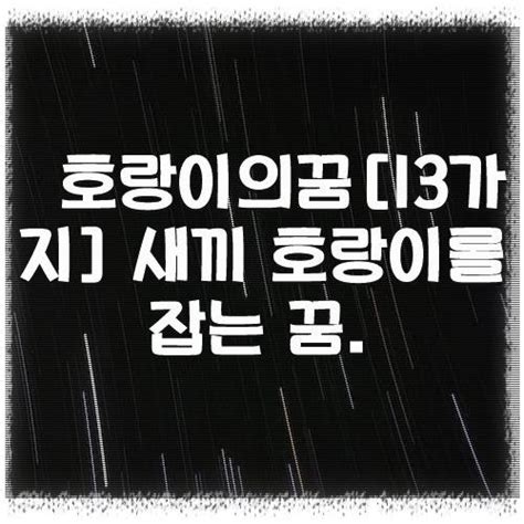 호랑이의꿈 13가지 새끼 호랑이를 잡는 꿈