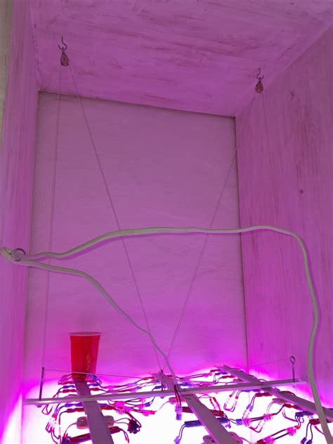 My Diy Dwc System Rdiygrow