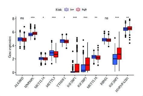 The Comparative Analysis Of The M6a Related Gene Expressions Between