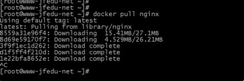 基于docker构建nginx web平台 docker封装nginxweb csdn博客