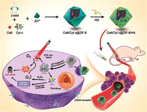 Frontiers Nanocarriers For Intracellular Co Delivery Of Proteins And