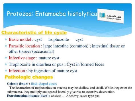 PPT Parasitology Protozoa And Helminthes PowerPoint Presentation