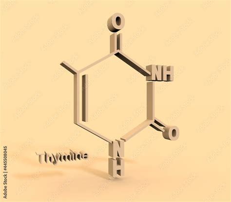 Chemical Structural Formula Of Thymine Dna And Rna Nitrogen Base Stock Illustration Adobe Stock