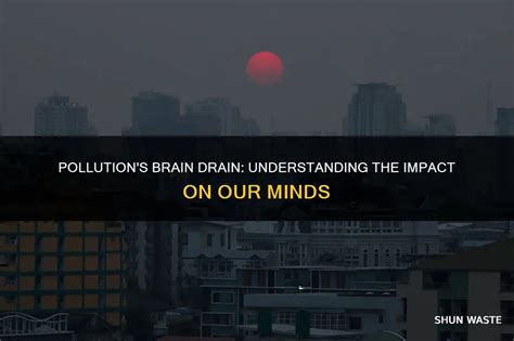Pollutions Brain Drain Understanding The Impact On Our Minds Shunwaste