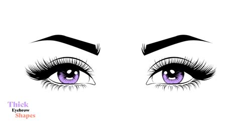 Thick Eyebrow Shapes