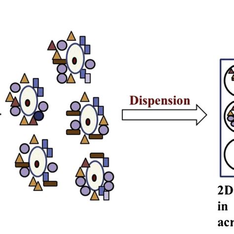 Schematic Presentation Of Ecm Microarray Thousands Of Dots Of Download Scientific Diagram