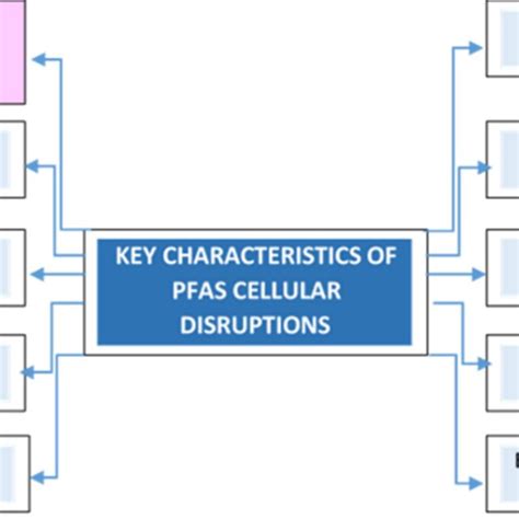 The Key Characteristics Of Potential Pfas Cellular Disruptions For
