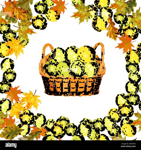 Drawing Basket Apples Hi Res Stock Photography And Images Alamy