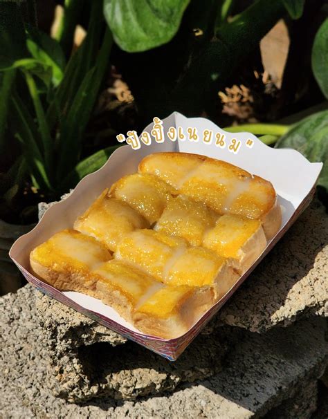 ปังปิ้งเนยนม แกลเลอรีที่โพสต์โดย 🎄ᴘᴀᴛᴛʜʀᴀ☃️ Lemon8