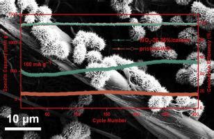 Electrochimica Acta X Mol