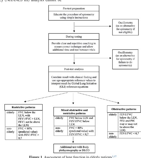 Figure 1 From Lung Aging And Lung Function Assessment In Elderly Semantic Scholar
