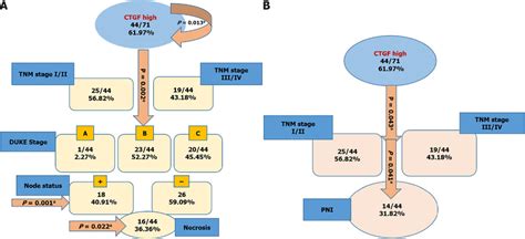 Connective Tissue Growth Factor Classification Tree Analysis For