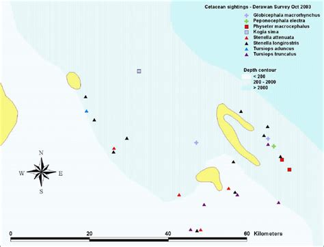 2 Cetacean Species Diversity And Distribution In The Derawan Download Scientific Diagram