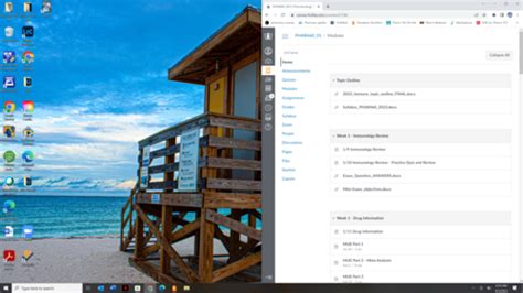 Intra Abdominal Infections Lewis Flashcards Quizlet