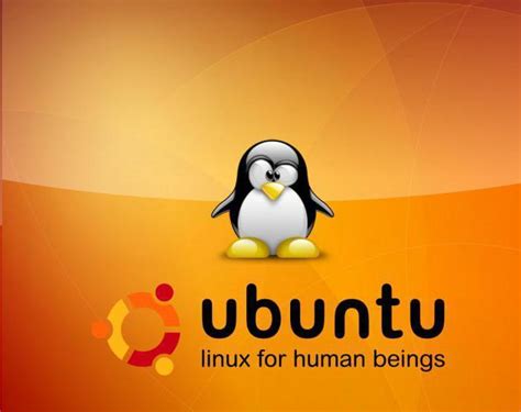 Как узнать какая версия системы Linux установлена посмотреть через командную строку